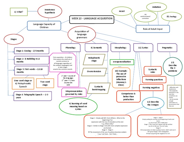 Language Acquisition Mind Map | Download Free PDF | Language Acquisition | Syntactic Relationships