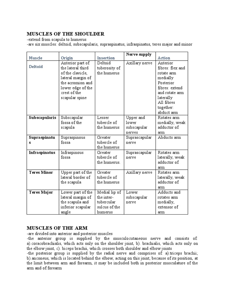 Upper Limb 1 | PDF | Arm | Musculoskeletal System