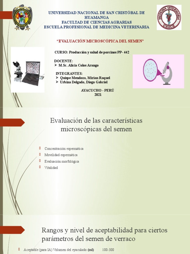 Evaluacion Caracteristicas Microscopicas Del Semen Porcino | PDF | Semen | Anatomía