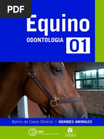 SISTEMA DE EVALUACION Y CLAUDICACION EN EQUINOS Final | PDF | Caballos ...