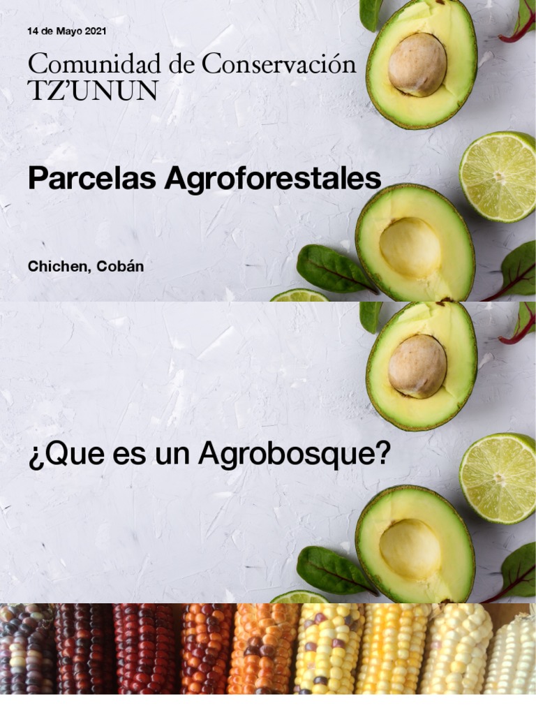 ¿Que Es Una Parcela Agroforestal? | PDF | Hogar, jardinería y bricolaje ...