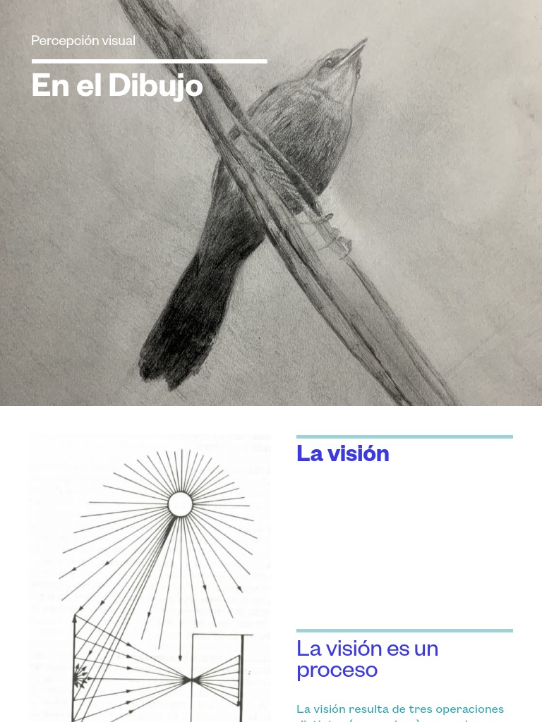 Percepción Visual en El Dibujo | PDF