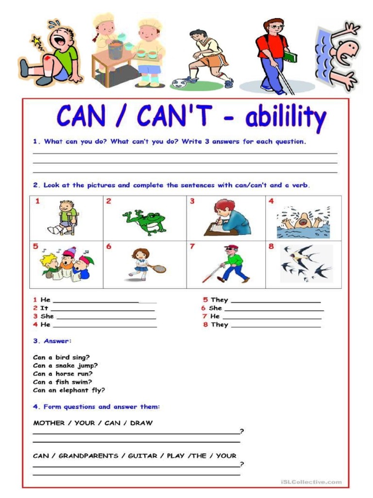 Can Questions | PDF