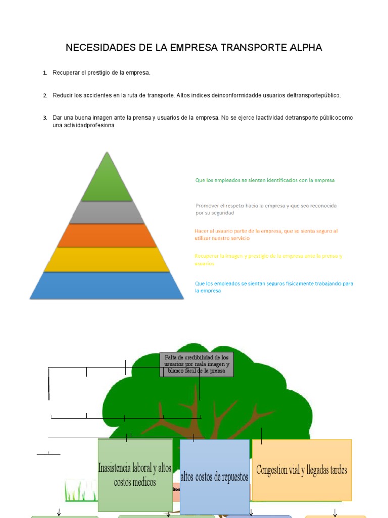Necesidades de La Empresa Transporte Alpha | PDF