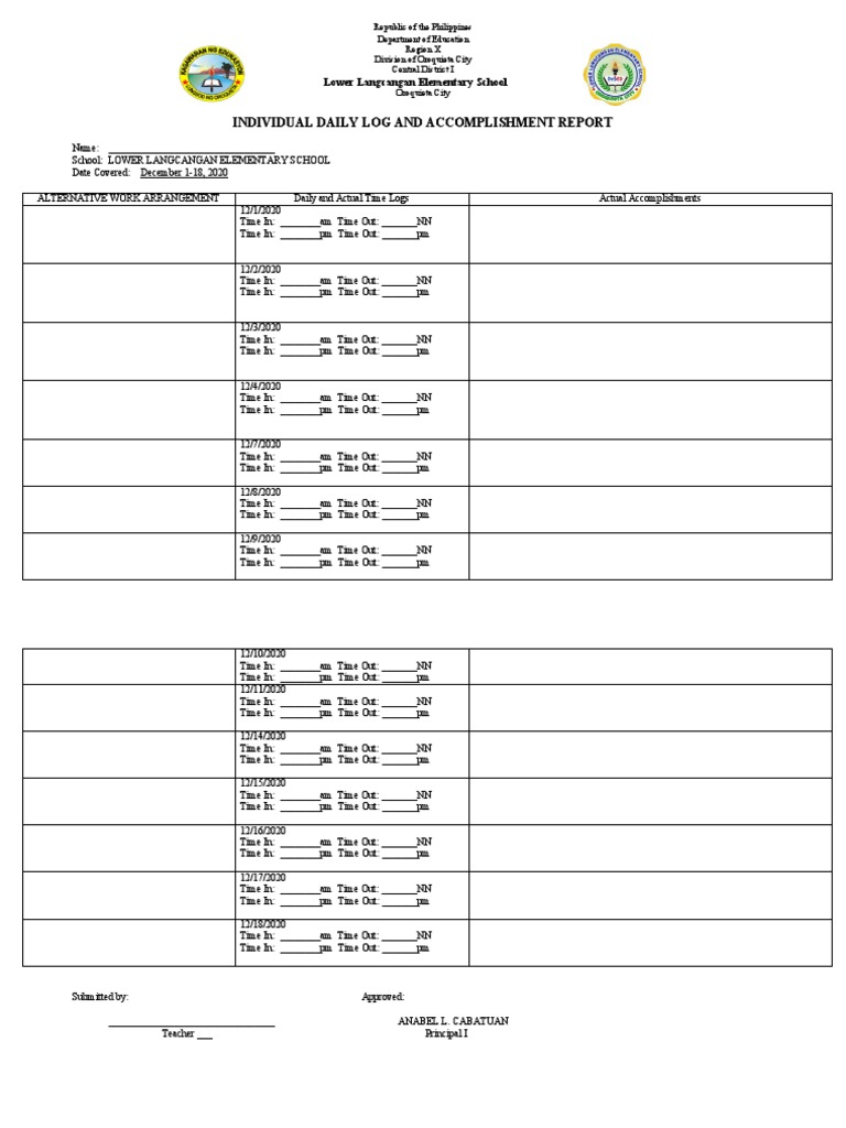 Individual Daily Log and Accomplishment Report | PDF | Government ...