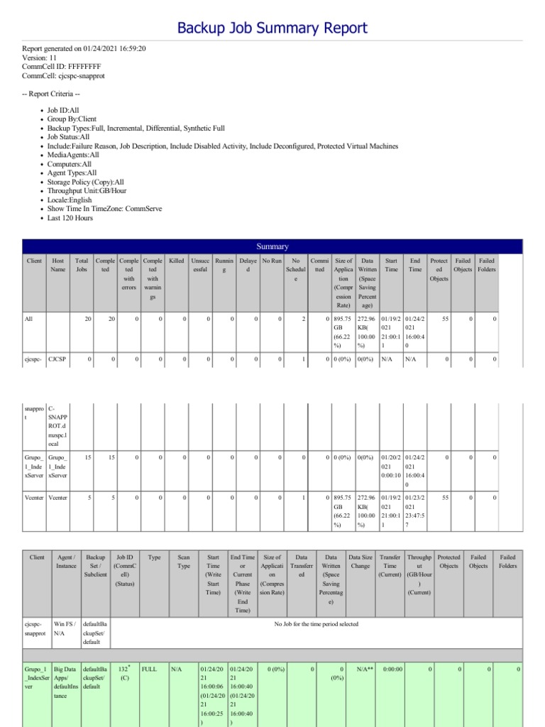 Backup Job Summary Report | PDF | V Mware | Virtual Machine