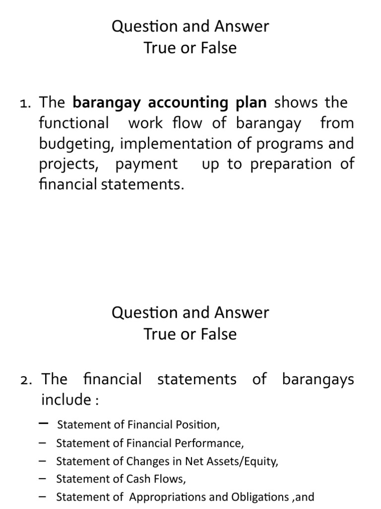 04-Exercise 1 - Barangay Accounting Plan | PDF