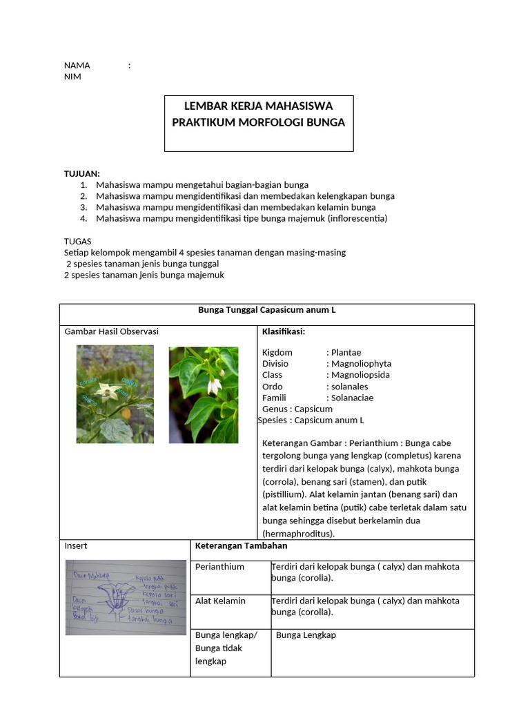 Praktikum Morfologi Bunga Mahasiswa | PDF