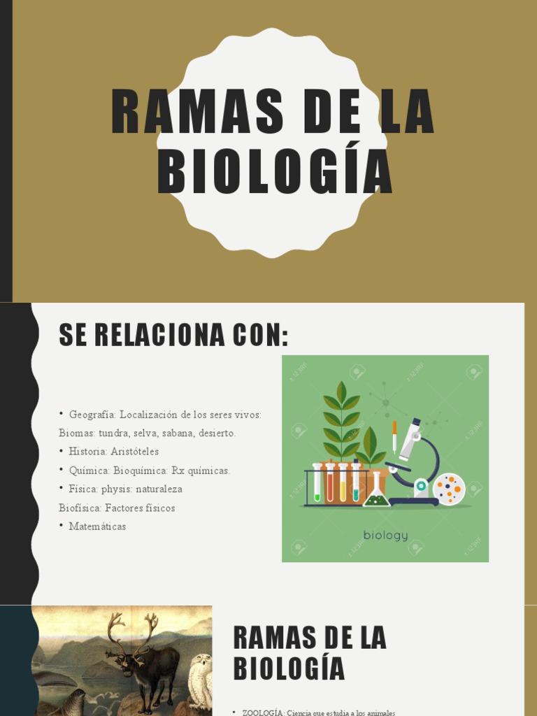 Ramas de La Biología | PDF | Fisiología | Biología