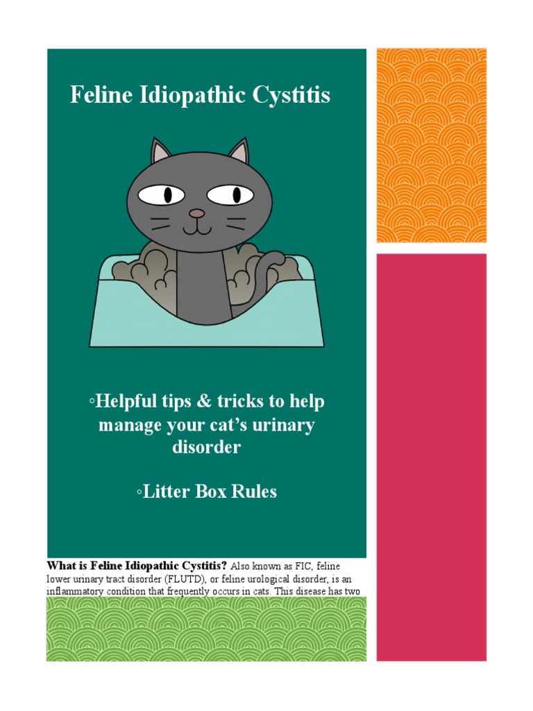 Feline Idiopathic Cystitis Brochure 1 | PDF