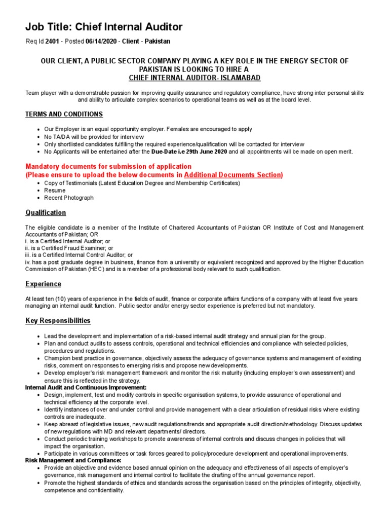 Job Description Print Preview | PDF | Internal Control | Internal Audit