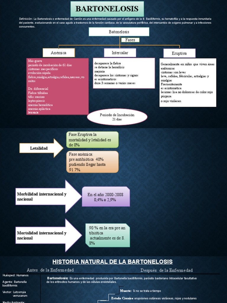 Bartonelosis | PDF | Especialidades Medicas | Enfermedades y trastornos