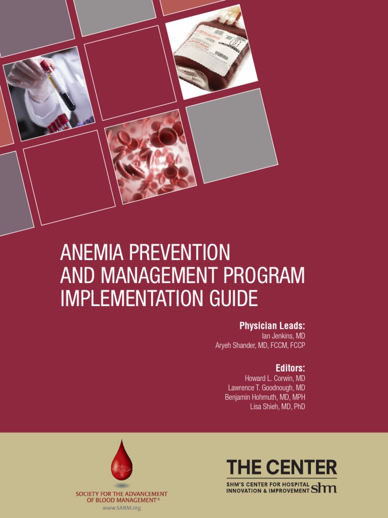 ANEMIA Prevention Management Program Implementation Guide | PDF | Blood ...