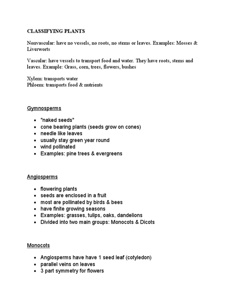 CLASSIFYING PLANTS: NONVASCULAR, VASCULAR, GYMNOSPERMS, ANGIOSPERMS ...