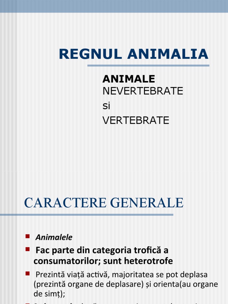 Regnul Animalia | PDF