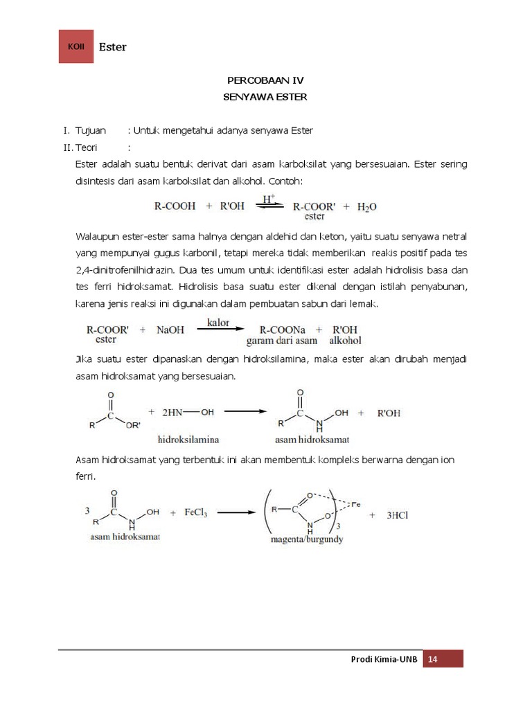 4 Ester | PDF