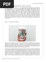 Guía para el Oral Individual IB | PDF | Cognición | Comunicación humana