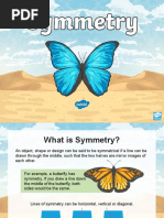Butterfly Symmetry Activity | PDF