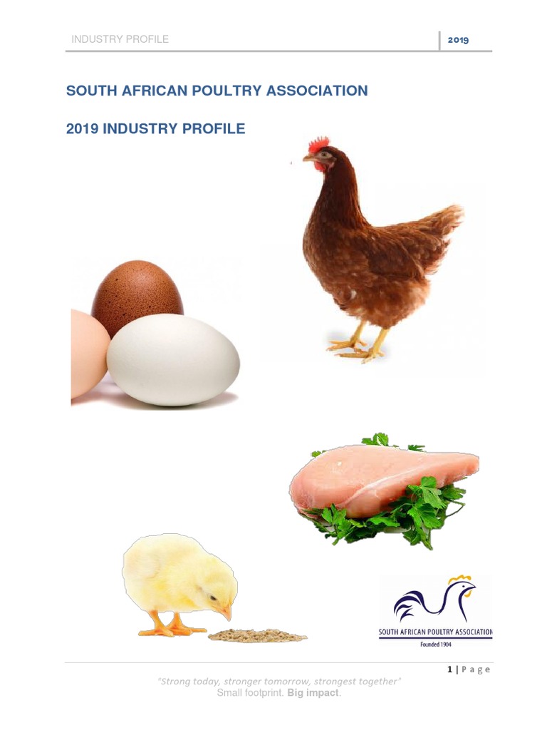 Sapa Industry Profile | PDF | Poultry Farming | Cholesterol