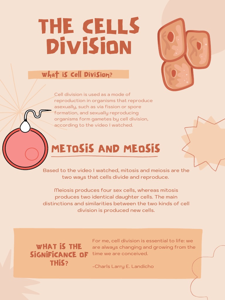 Mitosis vs. Meiosis: Cell Division Explained | PDF | Self-Improvement
