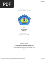 DocPlayccer PDF | PDF