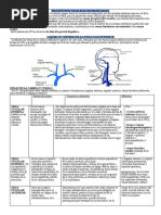 Metodo RaPeVA GAVeCeLT | PDF | Sistema cardiovascular | Sistema ...