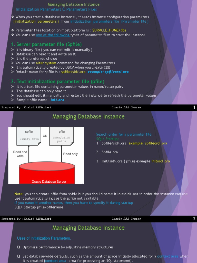 5.1 Parameter File | PDF | Parameter (Computer Programming) | Databases