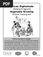 Zambia Groundnut Guide | PDF | Peanuts | Agriculture