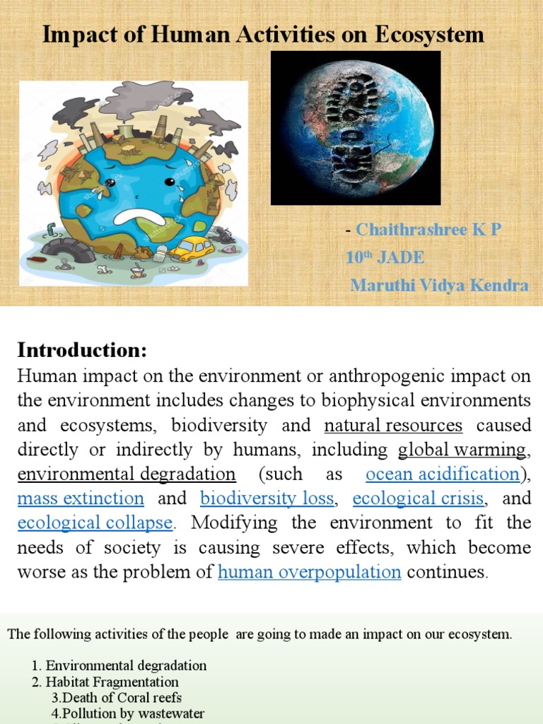 Impact of Human Activities On Ecosystem | PDF | Human Impact On The ...