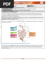 The Digestive System Grade 5 | PDF | Digestion | Human Digestive System