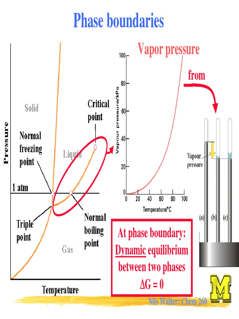 Phase Boundaries: Vapor Pressure | PDF | Phase (Matter) | Phase Diagram