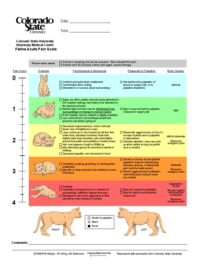 Your Clinic Name Here: Feline Acute Pain Scale Canine Acute Pain Scale ...