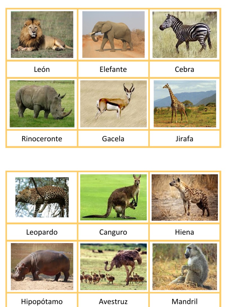 Tarjetas Animales de La Sabana Imprenta | PDF