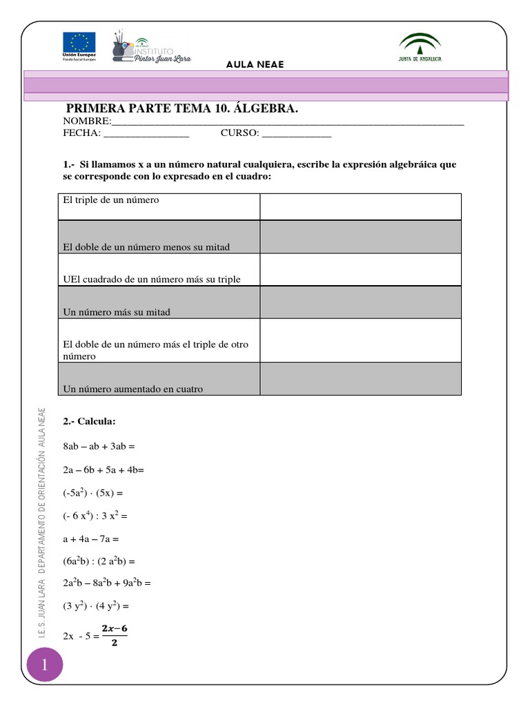 Examen Tema10 EXPRESONES ALGEBRAICAS | Descargar gratis PDF | Álgebra abstracta | Algoritmos