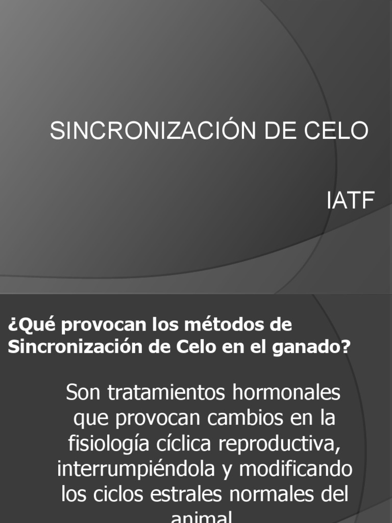 Protocolos de Sincronización de Celo en Bovinos | PDF | Vacas | Pubertad