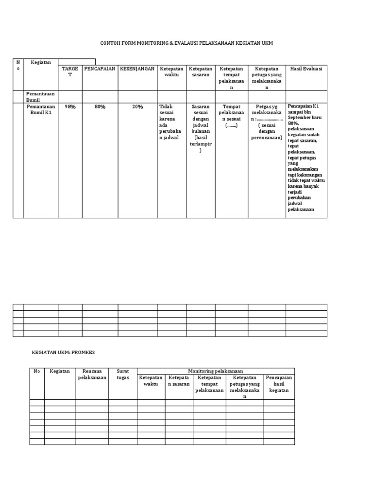 Contoh Form Monitoring Pelaksanaan Kegiatan Ukm | PDF
