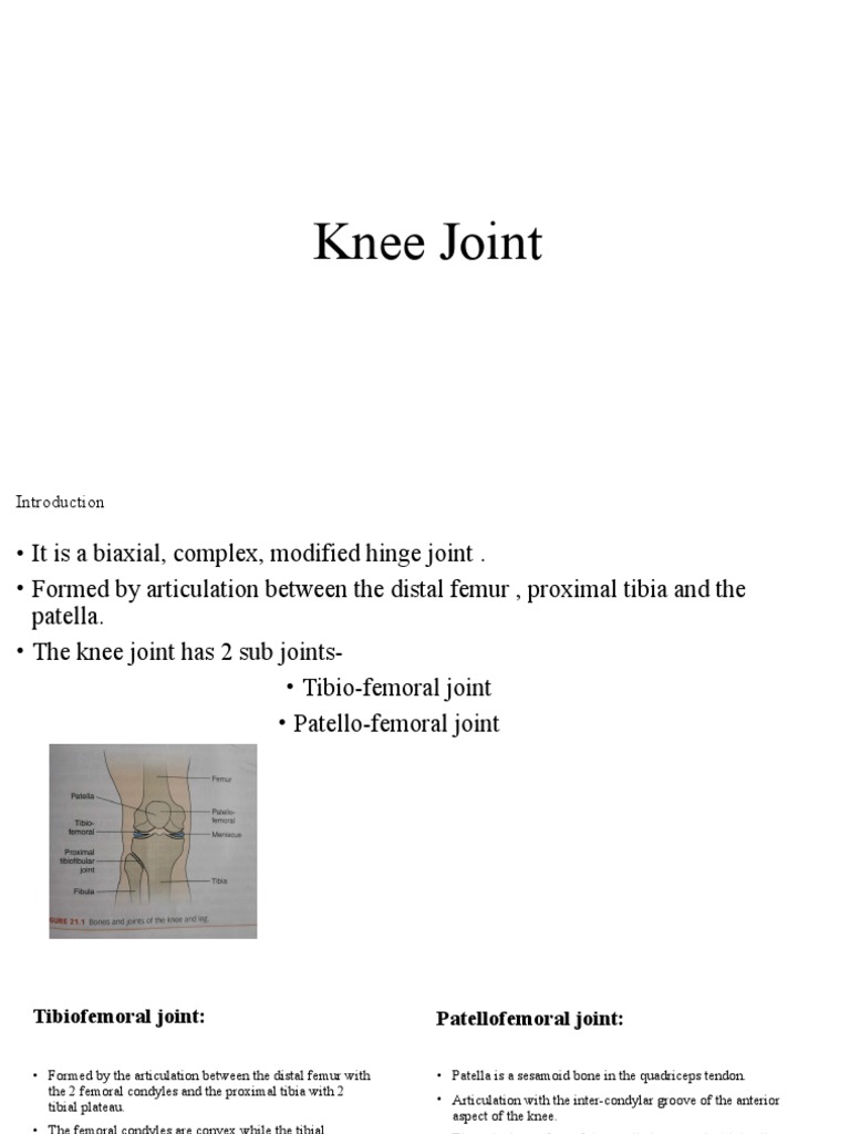 Knee Joint | PDF | Knee | Joints