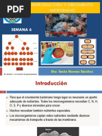 UD4 Bacteriología - Técnicas de Siembra, Aislamiento y Recuento | PDF | Las bacterias ...