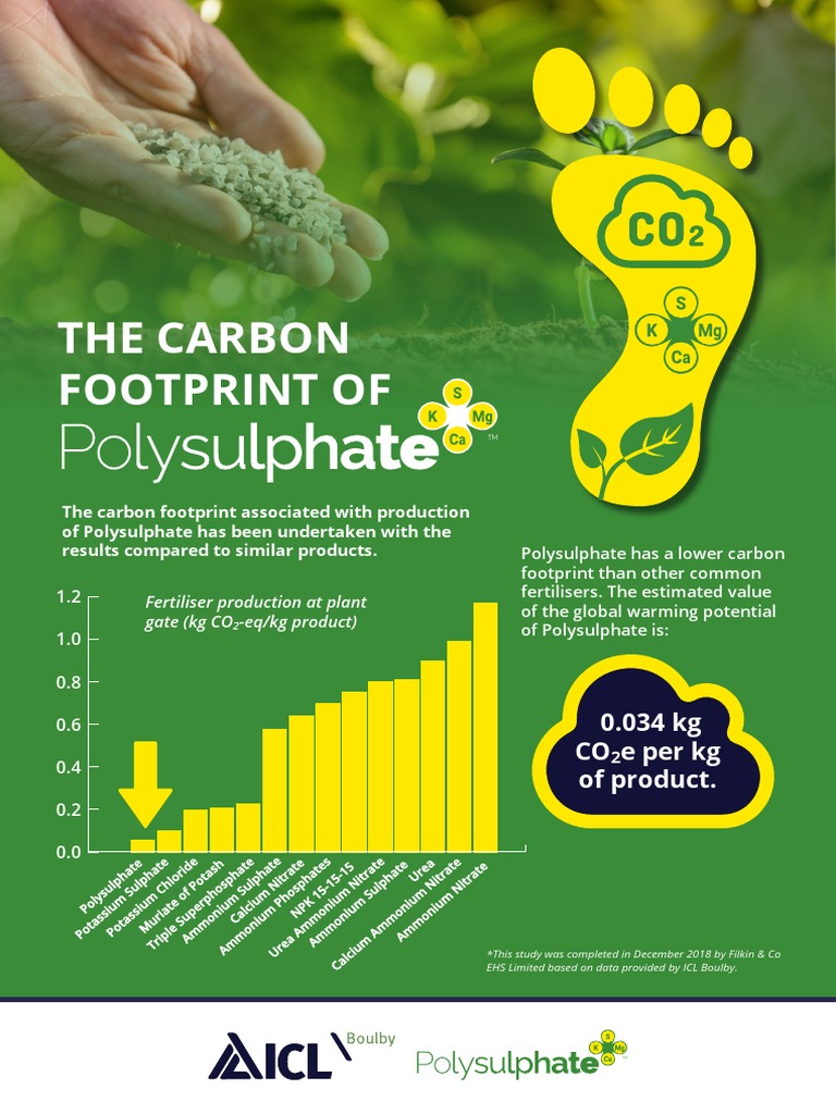 Carbon Footprint Poster - 2020 | PDF | Global Environmental Issues ...