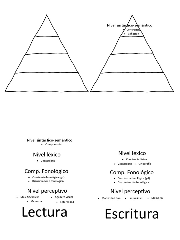 Esquema Piramide Lectura y Escritura Componentes | PDF