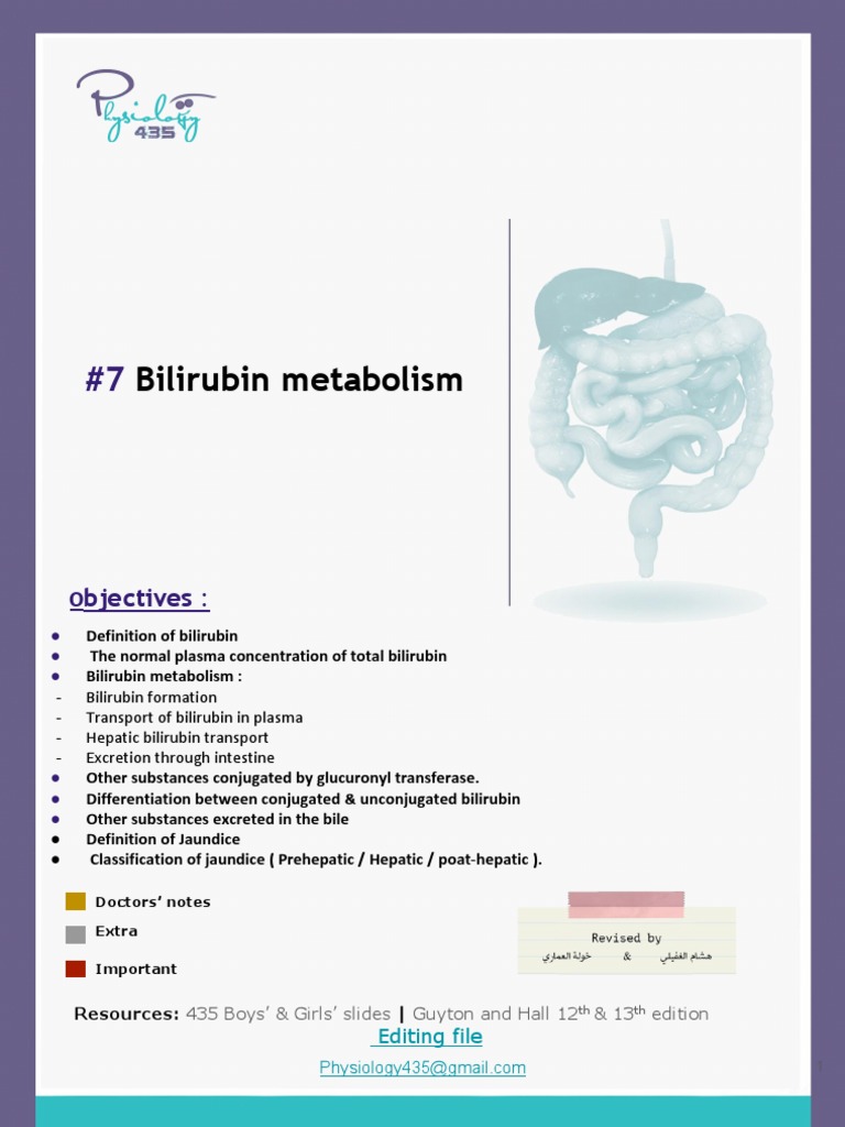 Bilirubin Metabolism: A Comprehensive Overview of Formation, Transport ...