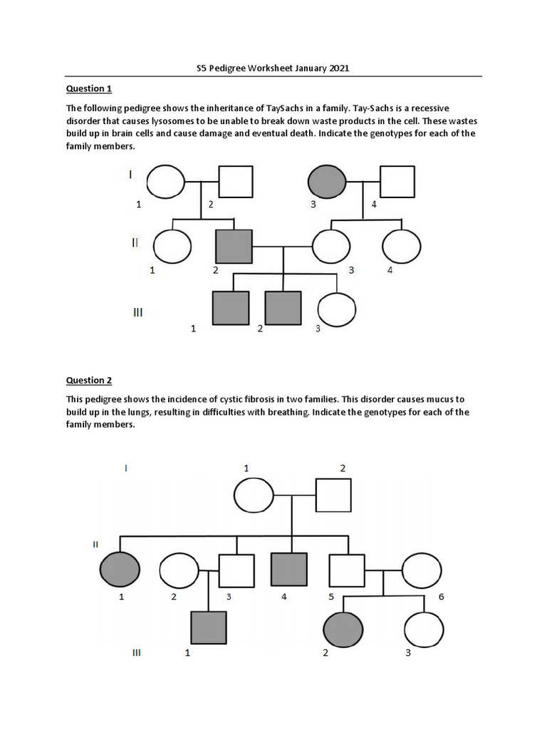 Cystic Fibrosis Pedigree
