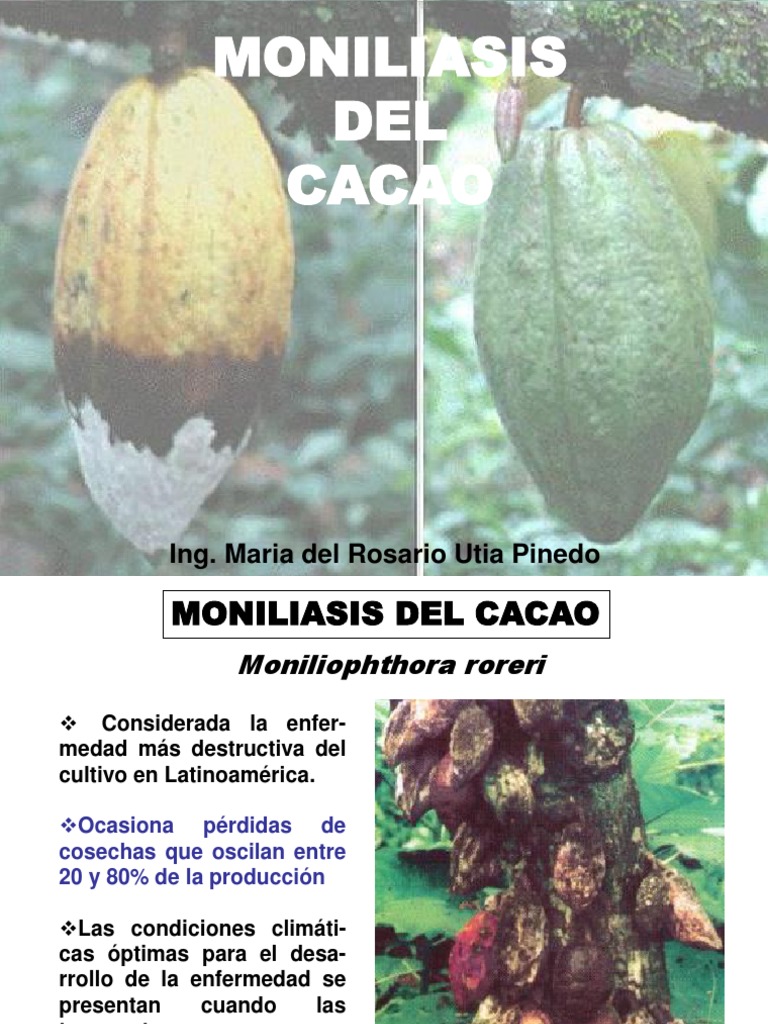 Ultimo Examen Fito | PDF | Organismos | Salud y bienestar