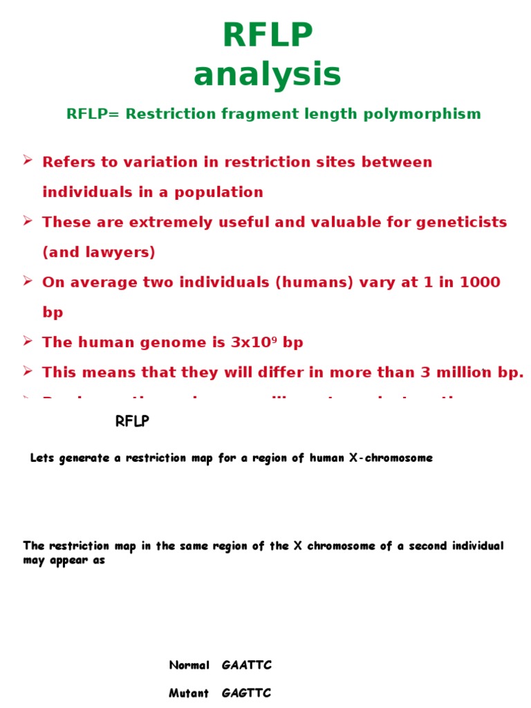 RFLP | PDF | Single Nucleotide Polymorphism | Haplotype