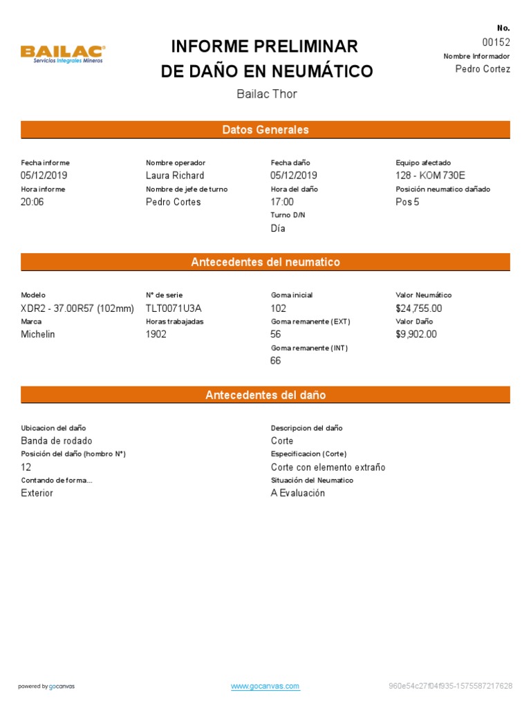 Informe Preliminar 22 | PDF | Naturaleza | Science