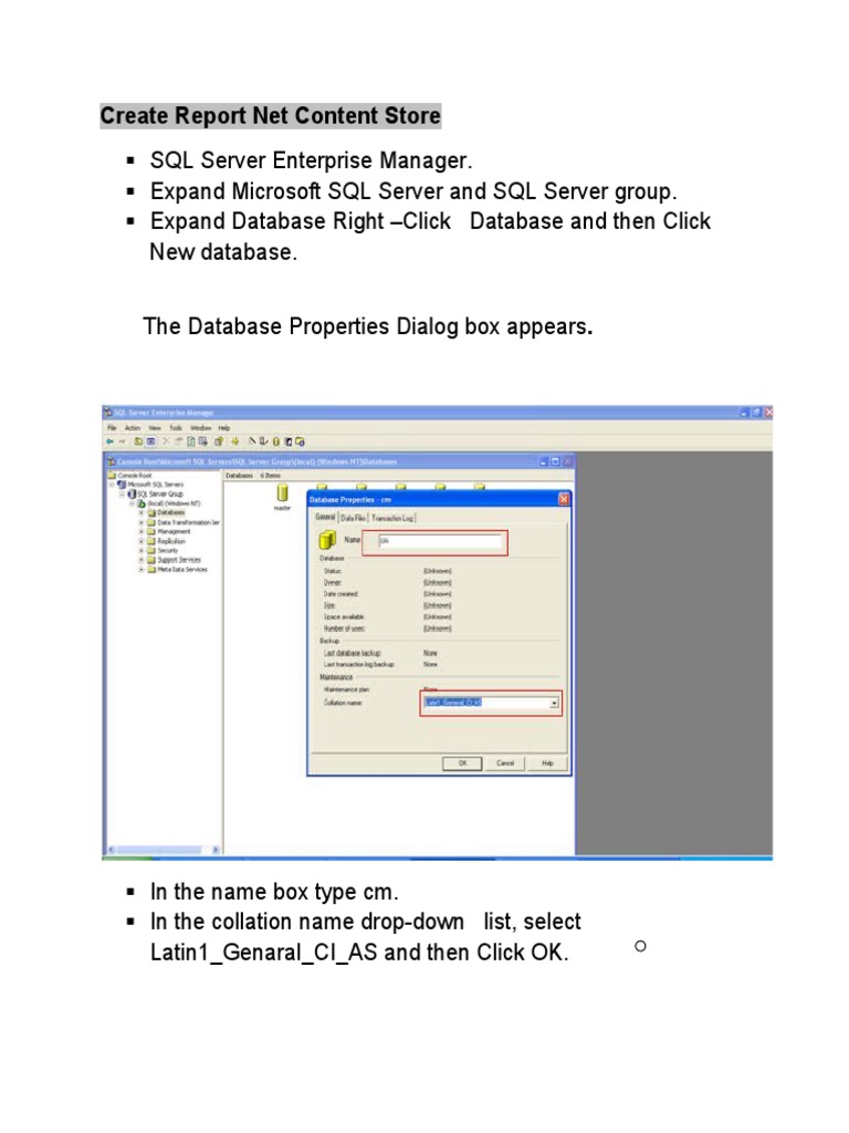Create Report Net Content Store | PDF | Databases | Data Management