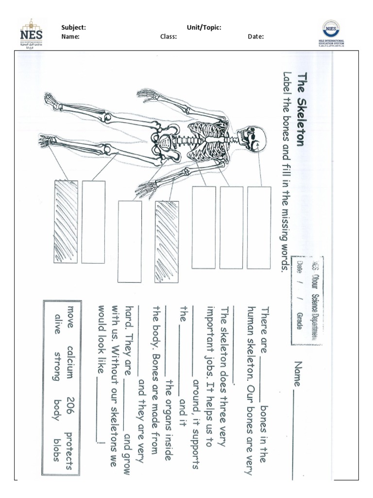 Worksheet Grade 3 - Lesson 8 - Unit 5 (Humans and Health) - Human ...