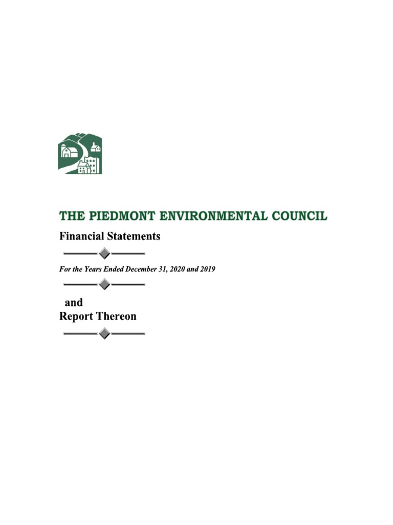 PEC 2020 - Audited Financial Statements and Auditor's Report | PDF