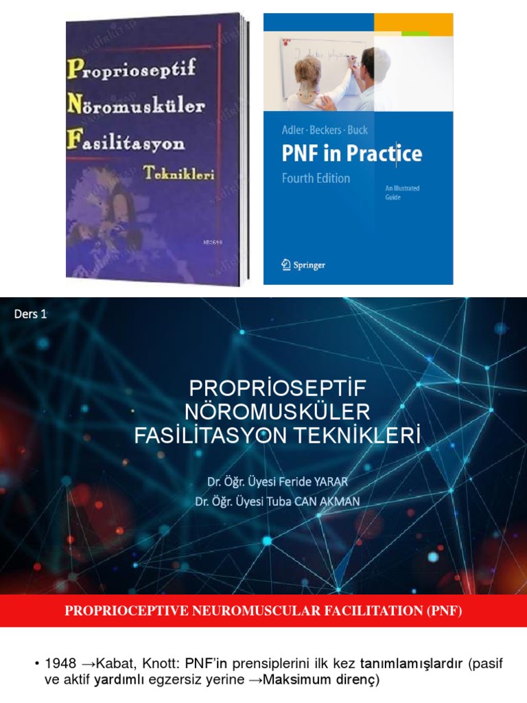 PNF 1 | PDF
