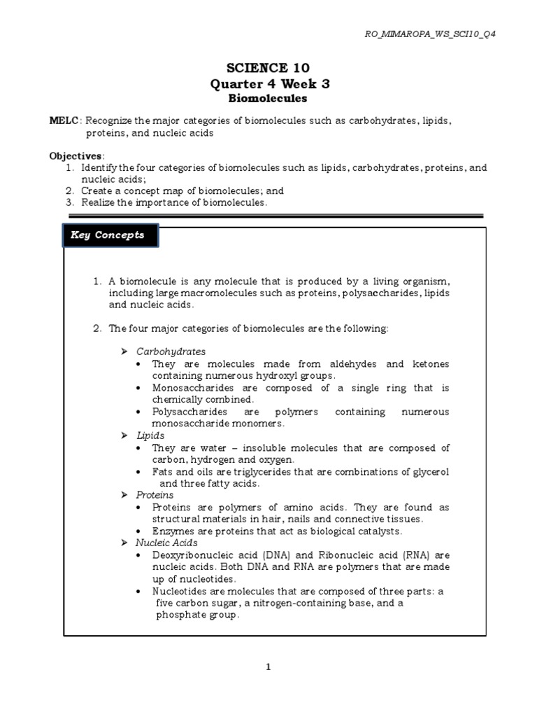 Overview of Biomolecules in Science 10 | PDF | Biomolecules | Nucleic Acids